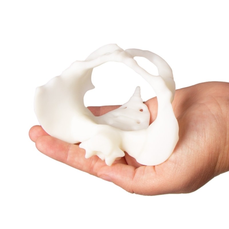 Erler-Zimmer Mini Birthing Simulator Kit | Health and Care